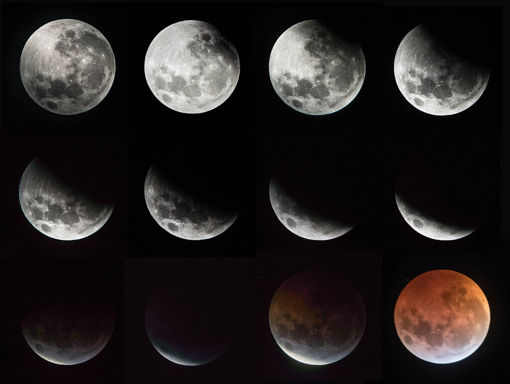 Lunar Eclipse - Jan 2019 - General - FACER Community